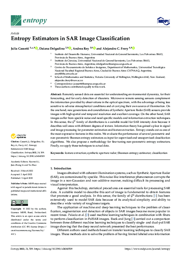 Pdf Entropy Based Estimators For Sar Classification