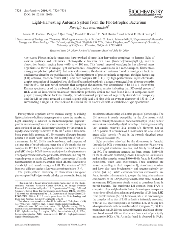 (PDF) Light-Harvesting Antenna System from the Phototrophic Bacterium ...