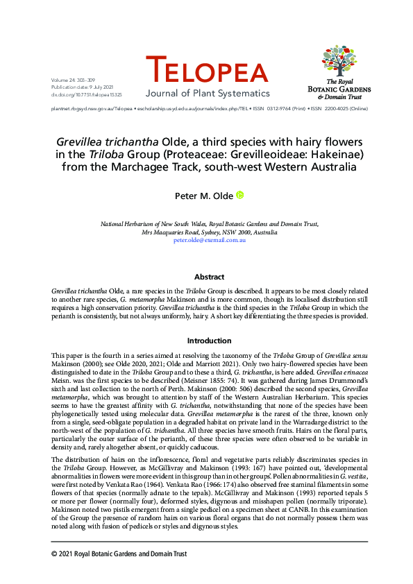 (PDF) Grevillea trichantha, a third species with hairy flowers in the ...