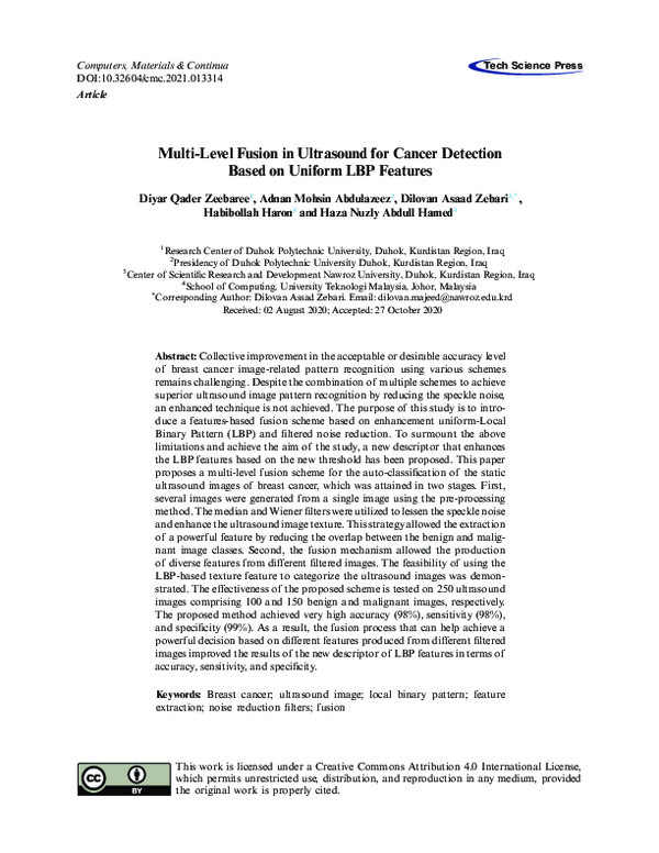 (PDF) Multi-Level Fusion in Ultrasound for Cancer Detection based on ...