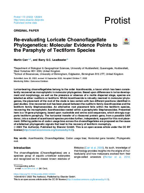 (PDF) Re-evaluating loricate choanoflagellate phylogenetics: Molecular ...