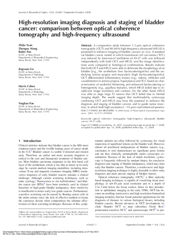 (PDF) High-resolution imaging diagnosis and staging of bladder cancer: comparison between ...