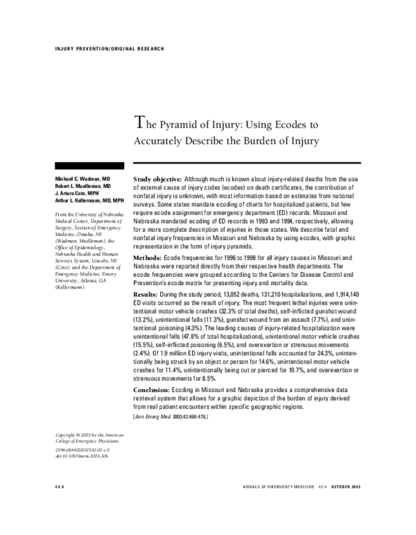 (PDF) The pyramid of injury