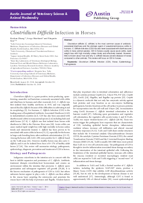 (PDF) Clostridium Difficile Infection in Horses | serge Martinod ...