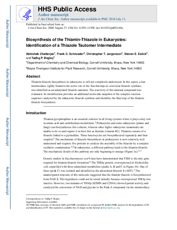 (PDF) Biosynthesis of the Thiamin-Thiazole in Eukaryotes ...