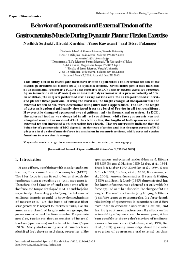 (PDF) Behavior of Aponeurosis and External Tendon of the Gastrocnemius ...