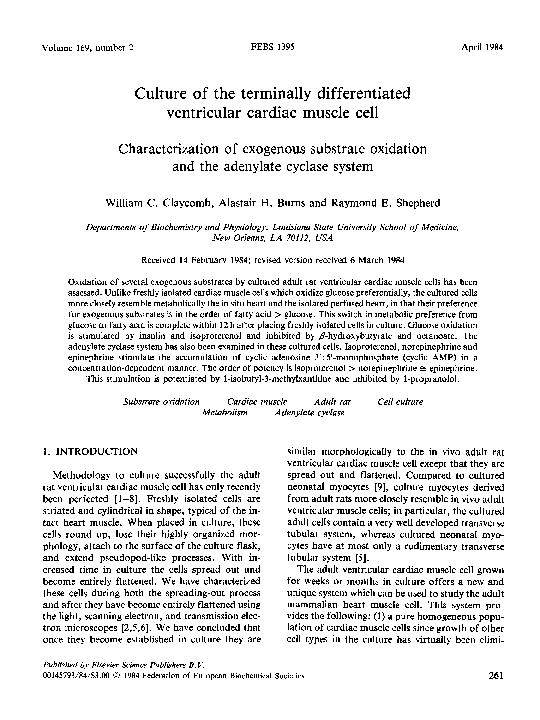 (PDF) Culture of the terminally differentiated ventricular cardiac ...