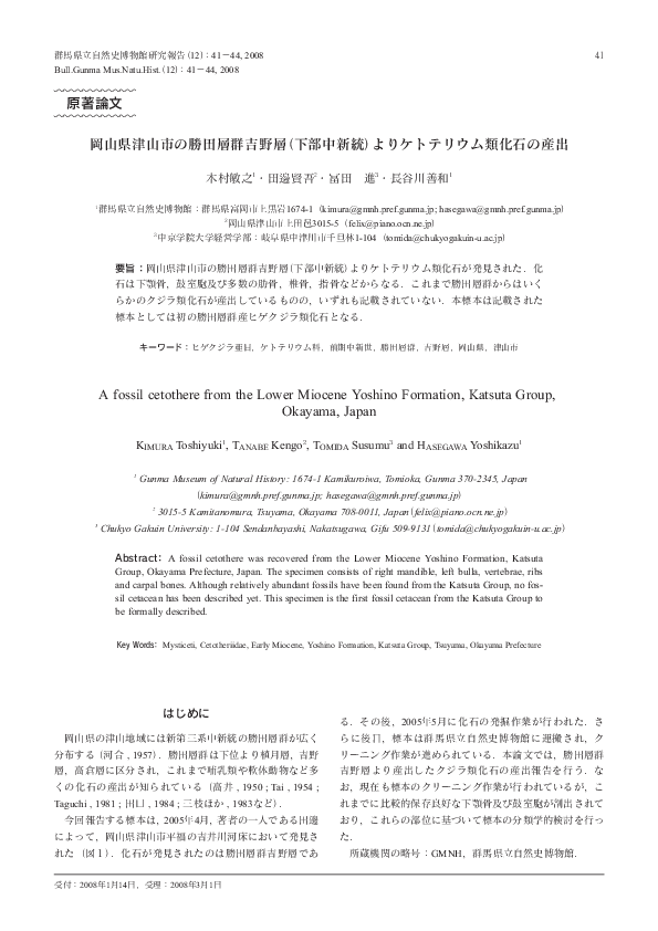 (PDF) A fossil cetothere from the Lower Miocene Yoshino Formation ...
