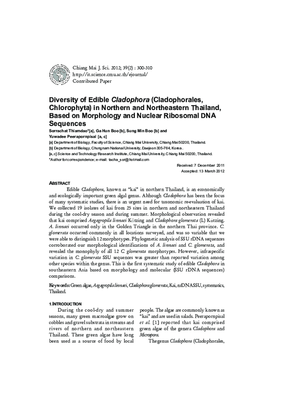 (PDF) Diversity of edible cladophora (cladophorales, chlorophyta) in ...