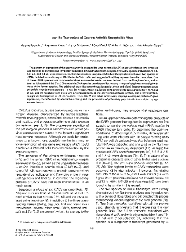 (PDF) Rev-Like Transcripts of Caprine Arthritis Encephalitis Virus