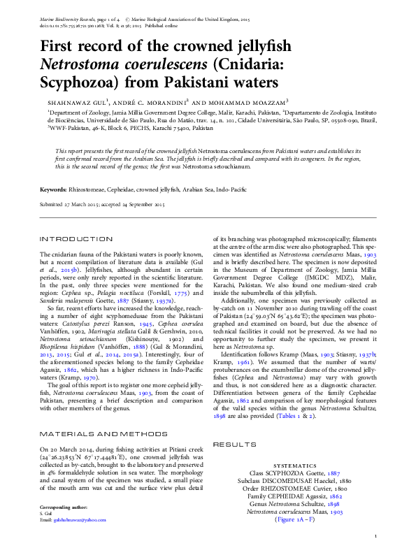 (PDF) First record of the crowned jellyfish Netrostoma coerulescens ...
