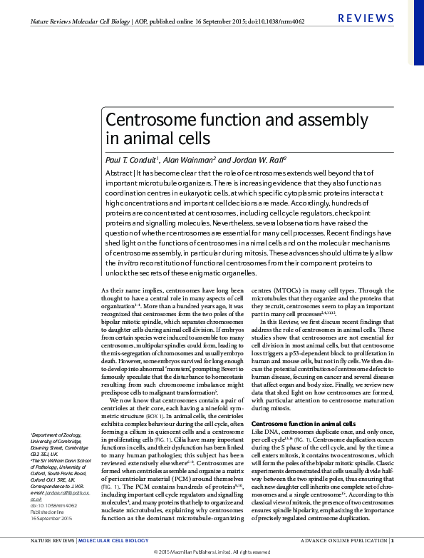 (PDF) Centrosome function and assembly in animal cells