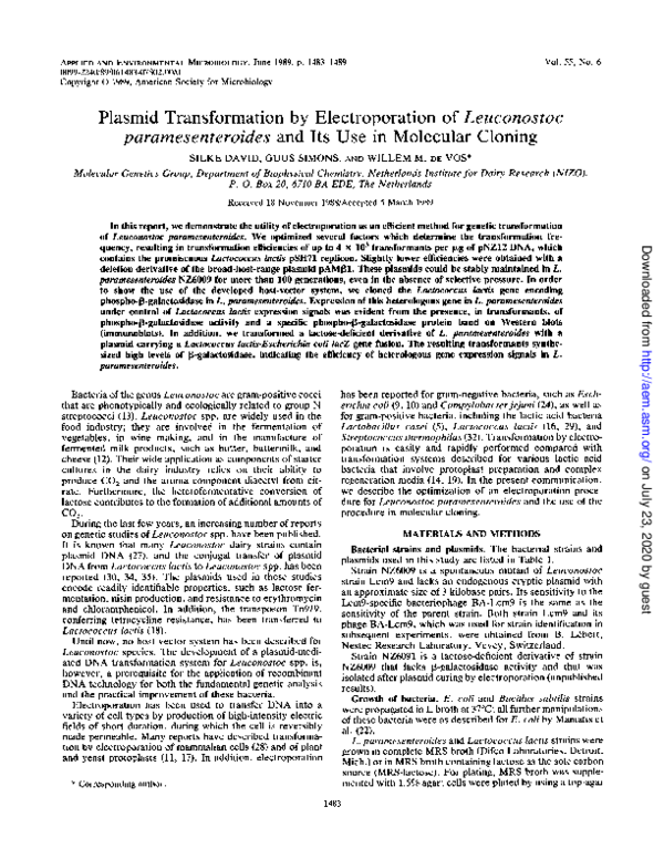 (PDF) Plasmid transformation by electroporation of Leuconostoc ...