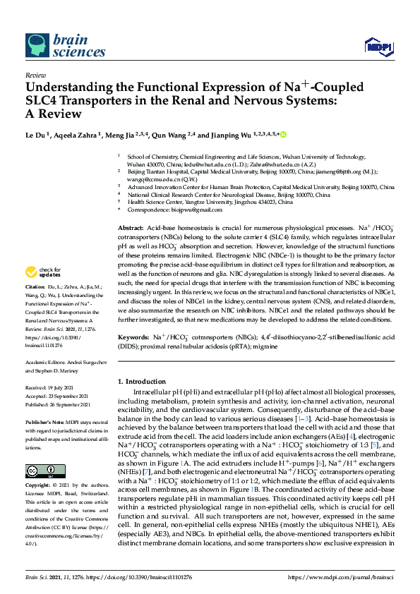 (PDF) Understanding the Functional Expression of Na+-Coupled SLC4 ...