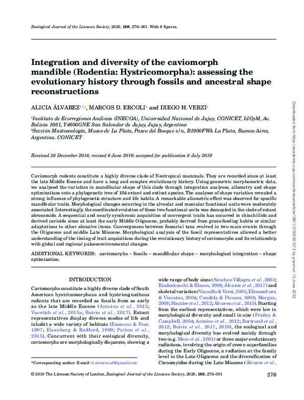 (PDF) Integration and diversity of the caviomorph mandible (Rodentia ...