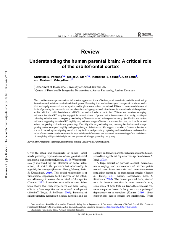 (PDF) Understanding the human parental brain: A critical role of the ...