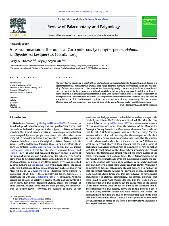 (PDF) A re-examination of the unusual Carboniferous lycophyte species ...