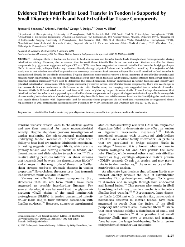 (PDF) Evidence that interfibrillar load transfer in tendon is supported ...
