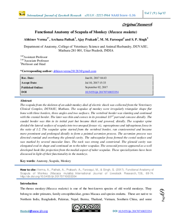 (PDF) Functional Anatomy of Scapula of Monkey (Macaca mulatta)