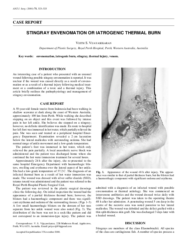 (PDF) Primary lymphoma of the prostate