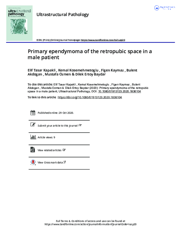 (PDF) Primary ependymoma of the retropubic space in a male patient ...