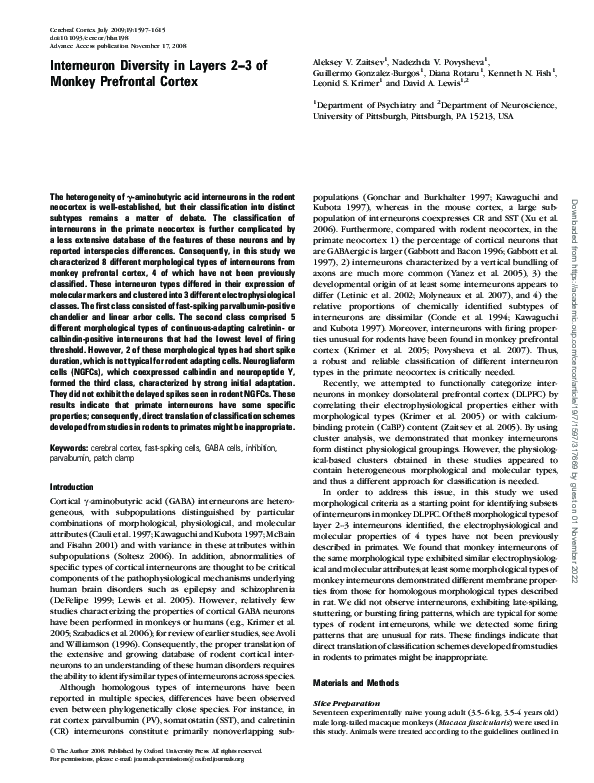 (PDF) Interneuron Diversity in Layers 2–3 of Monkey Prefrontal Cortex | Kenneth Fish - Academia.edu