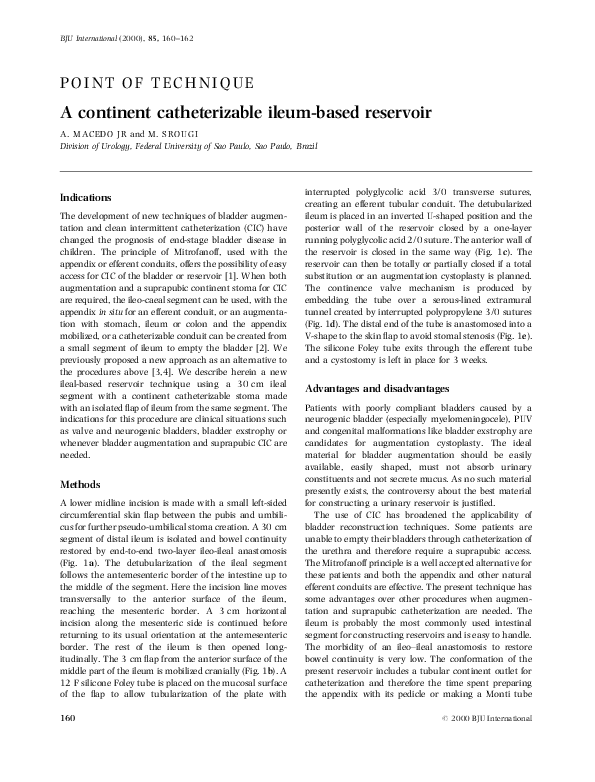 (PDF) A continent catheterizable ileum-based reservoir