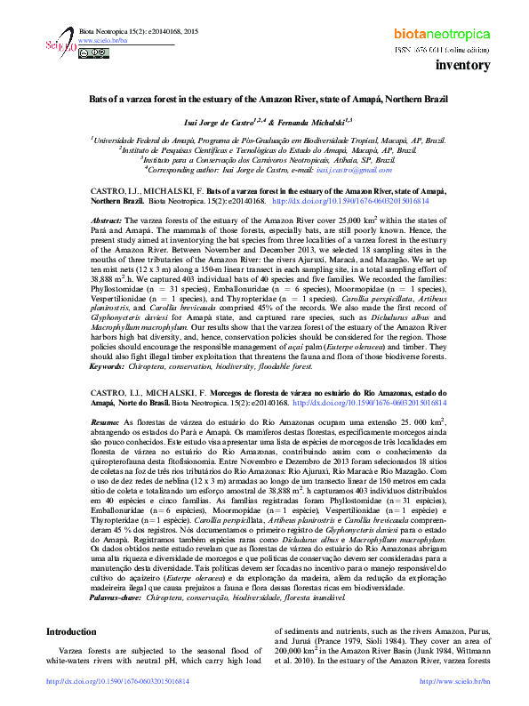 (PDF) Bats of a varzea forest in the estuary of the Amazon River, state ...