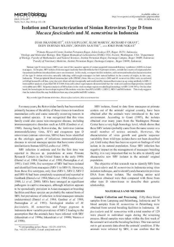 (PDF) Isolation and Characterization of Simian Retrovirus Type D from ...