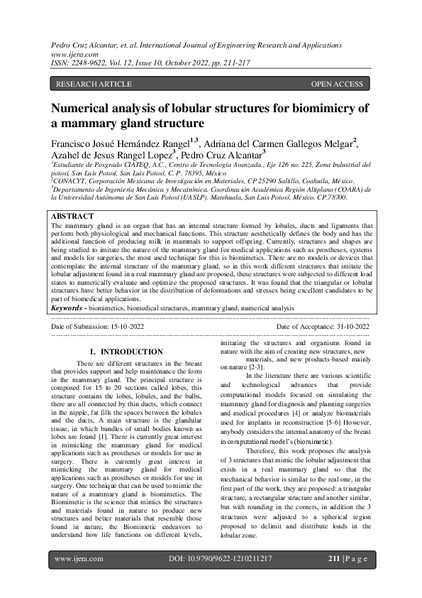 (PDF) Numerical analysis of lobular structures for biomimicry of a ...