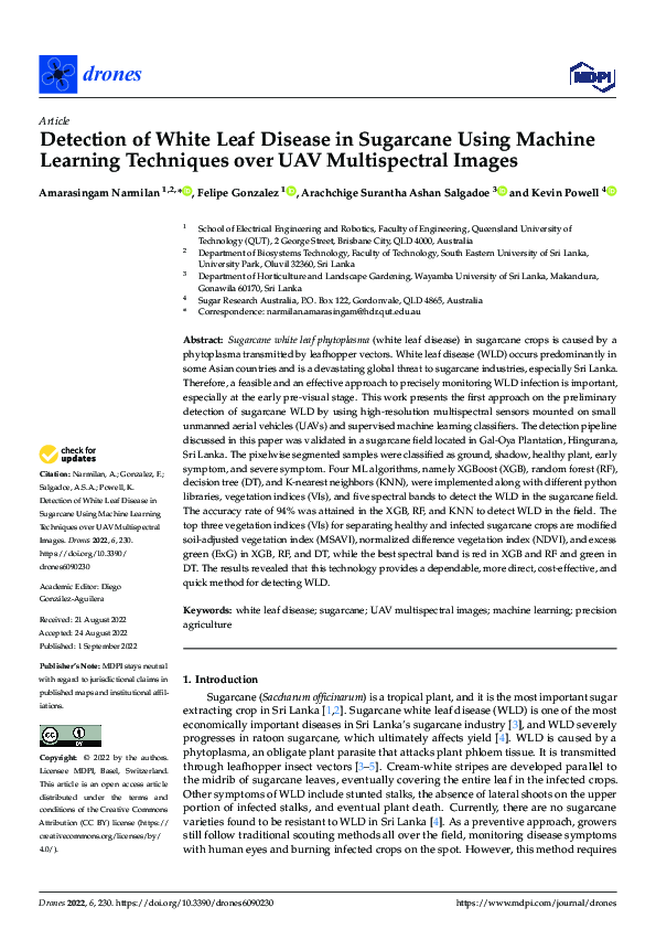 Pdf Detection Of White Leaf Disease In Sugarcane Using Machine Learning Techniques Over Uav
