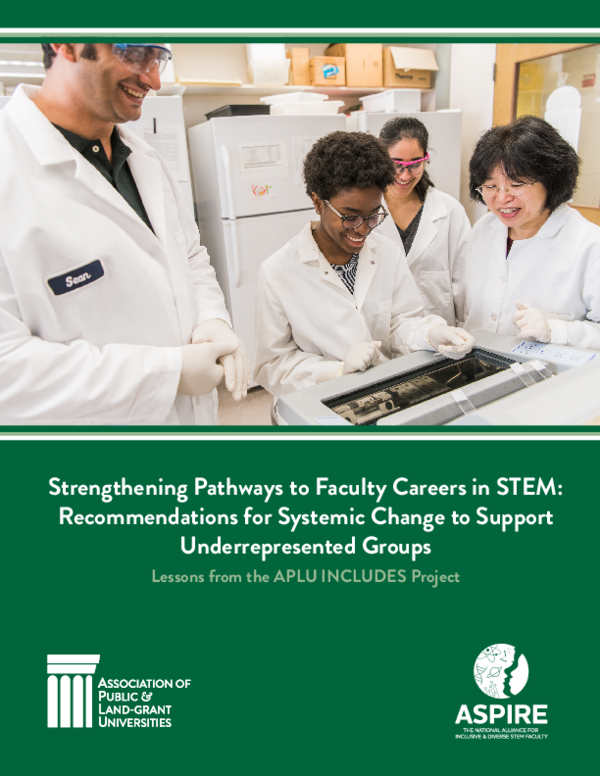 (PDF) Strengthening the Pathways to Faculty Careers in STEM Recommendations for Systemic Changes ...