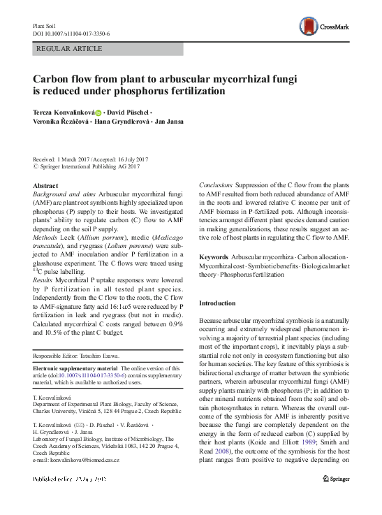(PDF) Carbon flow from plant to arbuscular mycorrhizal fungi is reduced under phosphorus ...