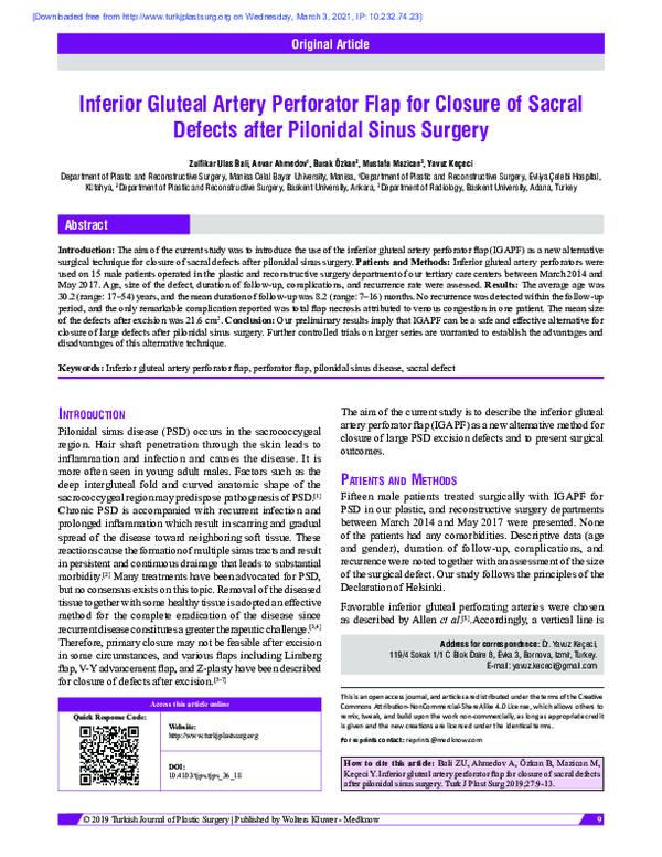 (PDF) Inferior gluteal artery perforator flap for closure of sacral ...