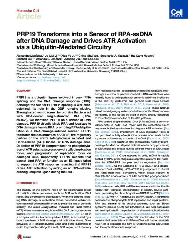 (PDF) PRP19 Transforms into a Sensor of RPA-ssDNA after DNA Damage and ...