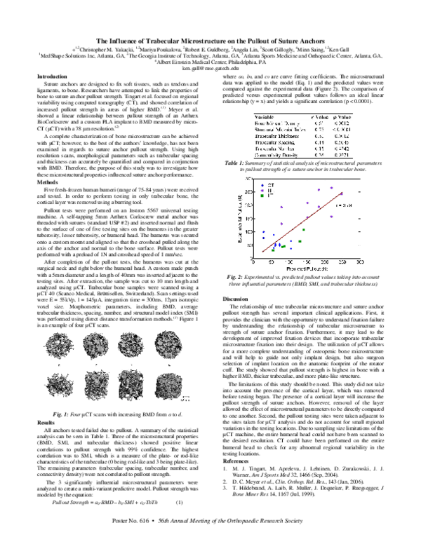 (PDF) The Influence of Trabecular Microstructure on the Pullout of ...