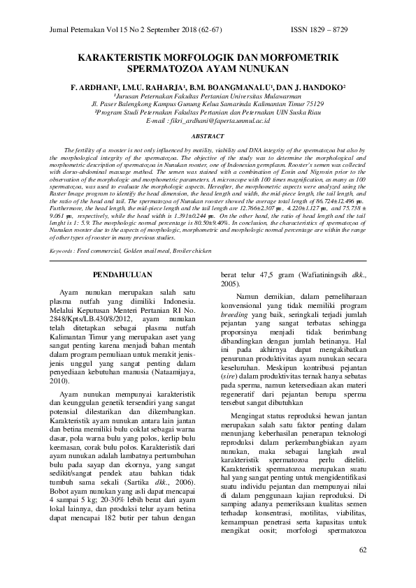 (PDF) Karakteristik Morfologik dan Morfometrik Spermatozoa Ayam Nunukan
