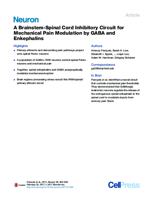(PDF) A Brainstem-Spinal Cord Inhibitory Circuit for Mechanical Pain ...