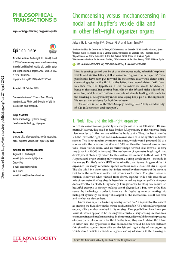 (PDF) Chemosensing versus mechanosensing in nodal and Kupffer's vesicle ...