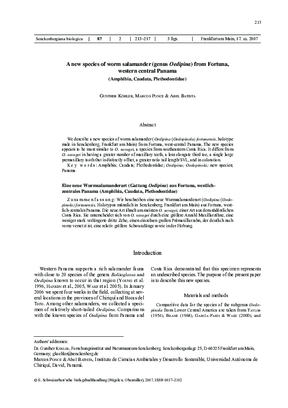 (PDF) A new species of worm salamander (genus oedipina from Fortuna ...