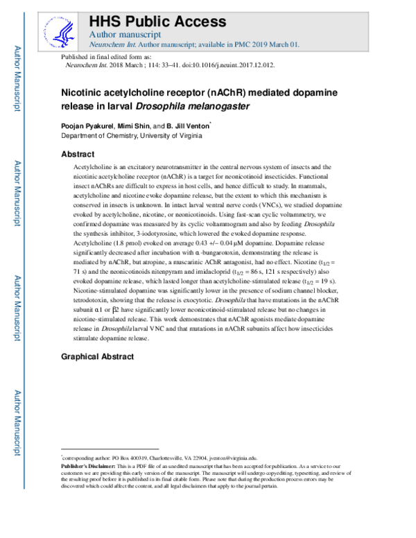 (PDF) Nicotinic acetylcholine receptor (nAChR) mediated dopamine ...