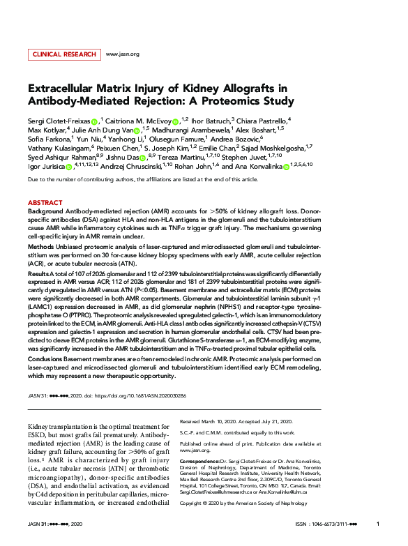 (PDF) Extracellular Matrix Injury of Kidney Allografts in Antibody ...