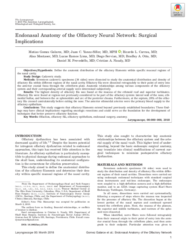 (PDF) Endonasal anatomy of the olfactory neural network: Surgical implications