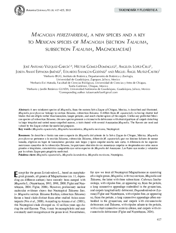 (PDF) Magnolia perezfarrerae a new species and a key to Mexican species ...