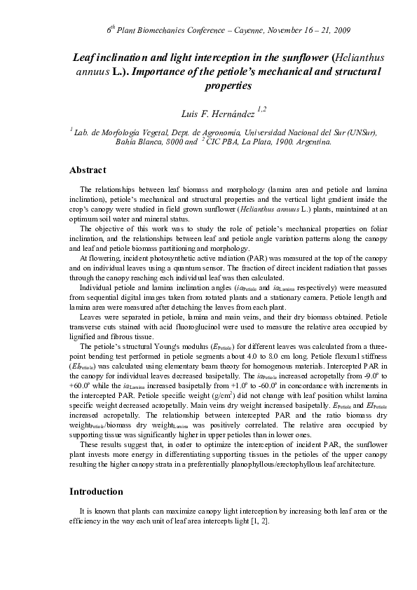 (PDF) Leaf inclination and light interception in the sunflower ...