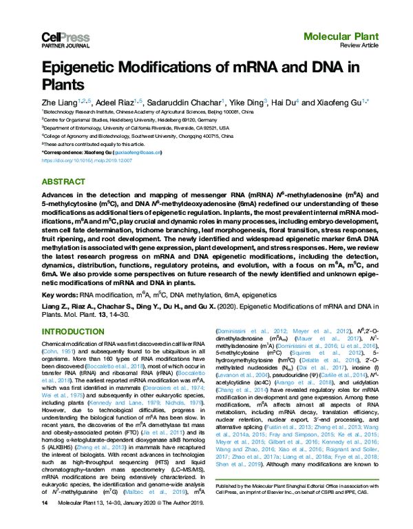 (PDF) Epigenetic Modifications of mRNA and DNA in Plants