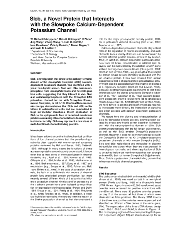 (PDF) Slob, a Novel Protein that Interacts with the Slowpoke Calcium ...