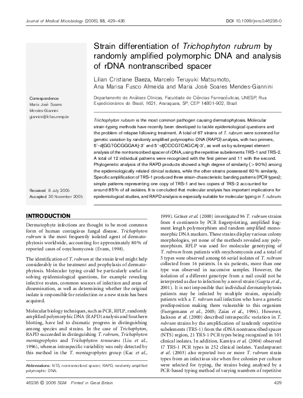 (PDF) Strain differentiation of Trichophyton rubrum by randomly ...