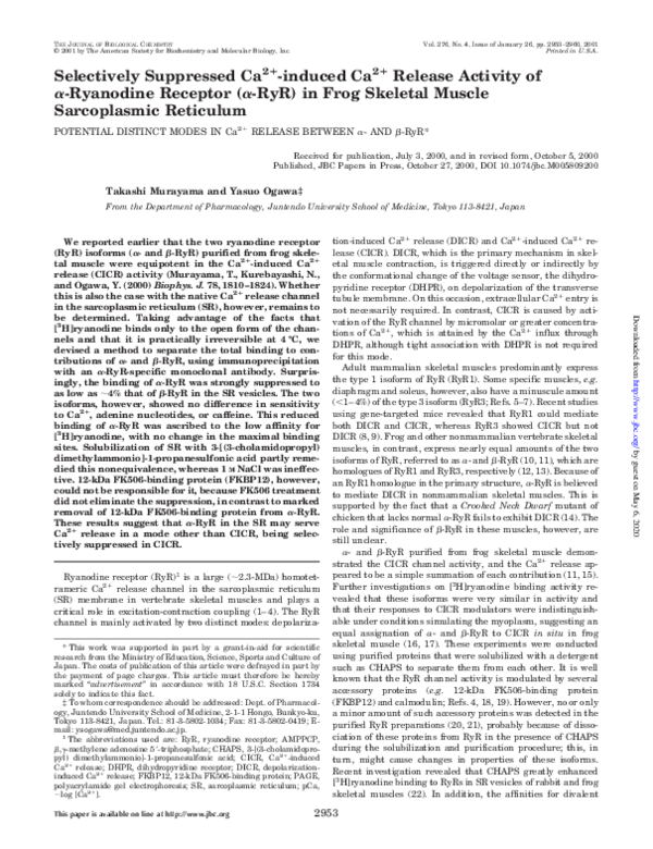(PDF) Selectively Suppressed Ca2+-induced Ca2+Release Activity of α ...