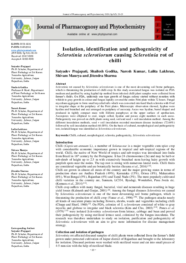 (PDF) Isolation, identification and pathogenicity of Sclerotinia ...